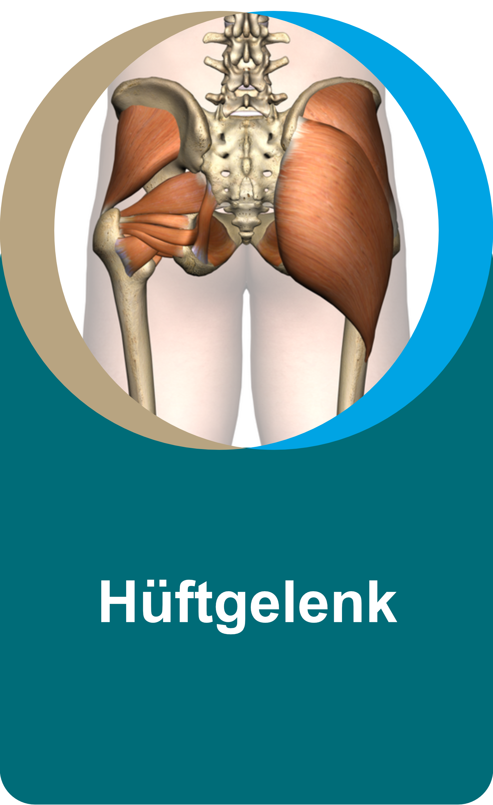 Orthopädische Chirurgie Biel-Seeland - Orthomed